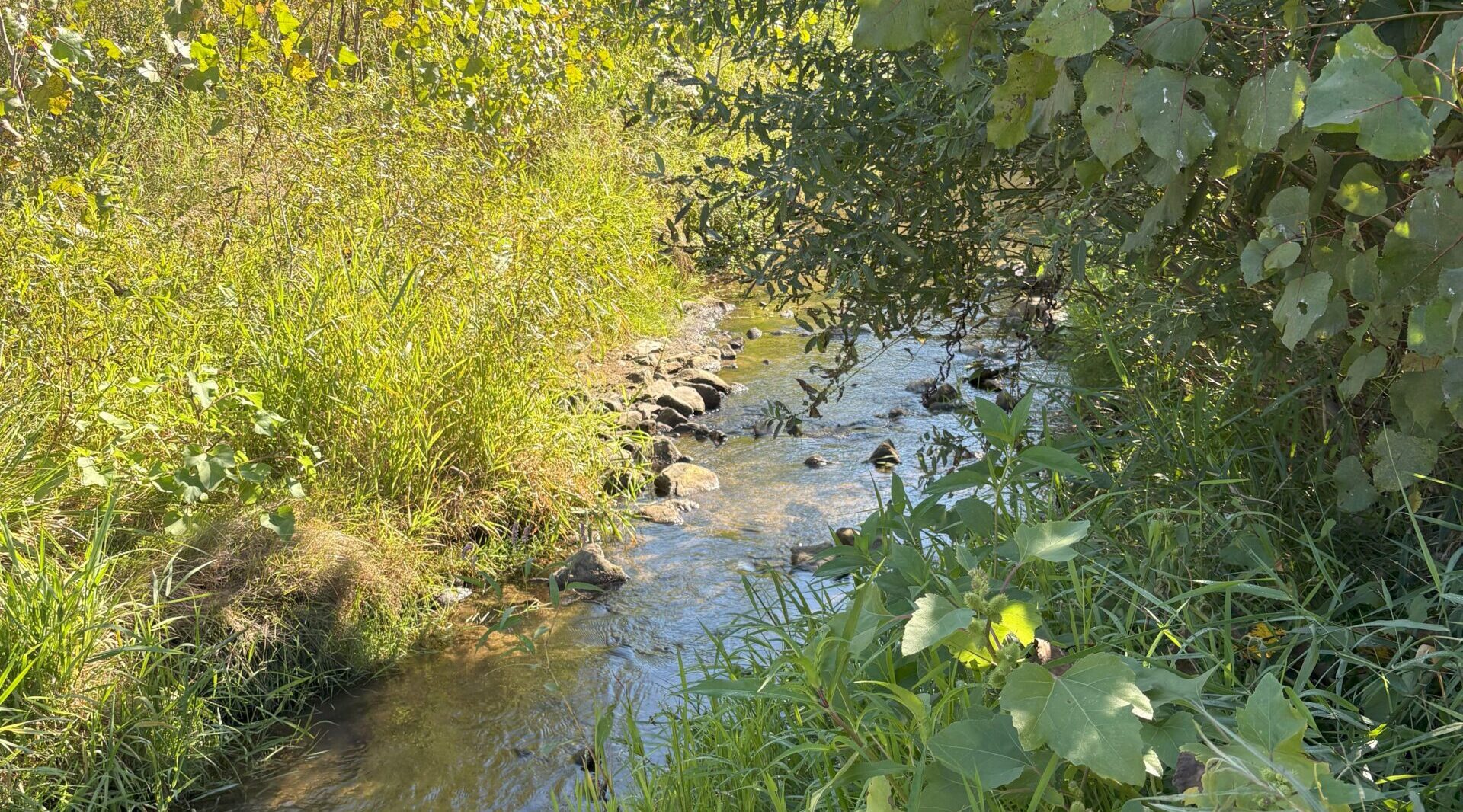 Muskingum Watershed Conservancy District Awards $97,000 to Advance ...